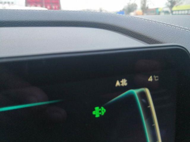 车辆出现GPF绿色！故障灯！跑高速也没有消除！一直_比亚迪_秦 _汽车大师